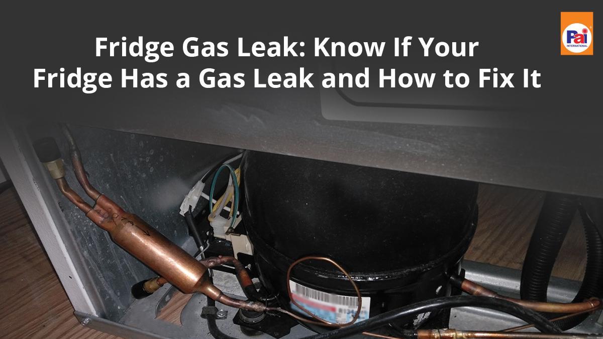 Fridge Gas Leak: Signs, Causes, Detection, and How to Fix It